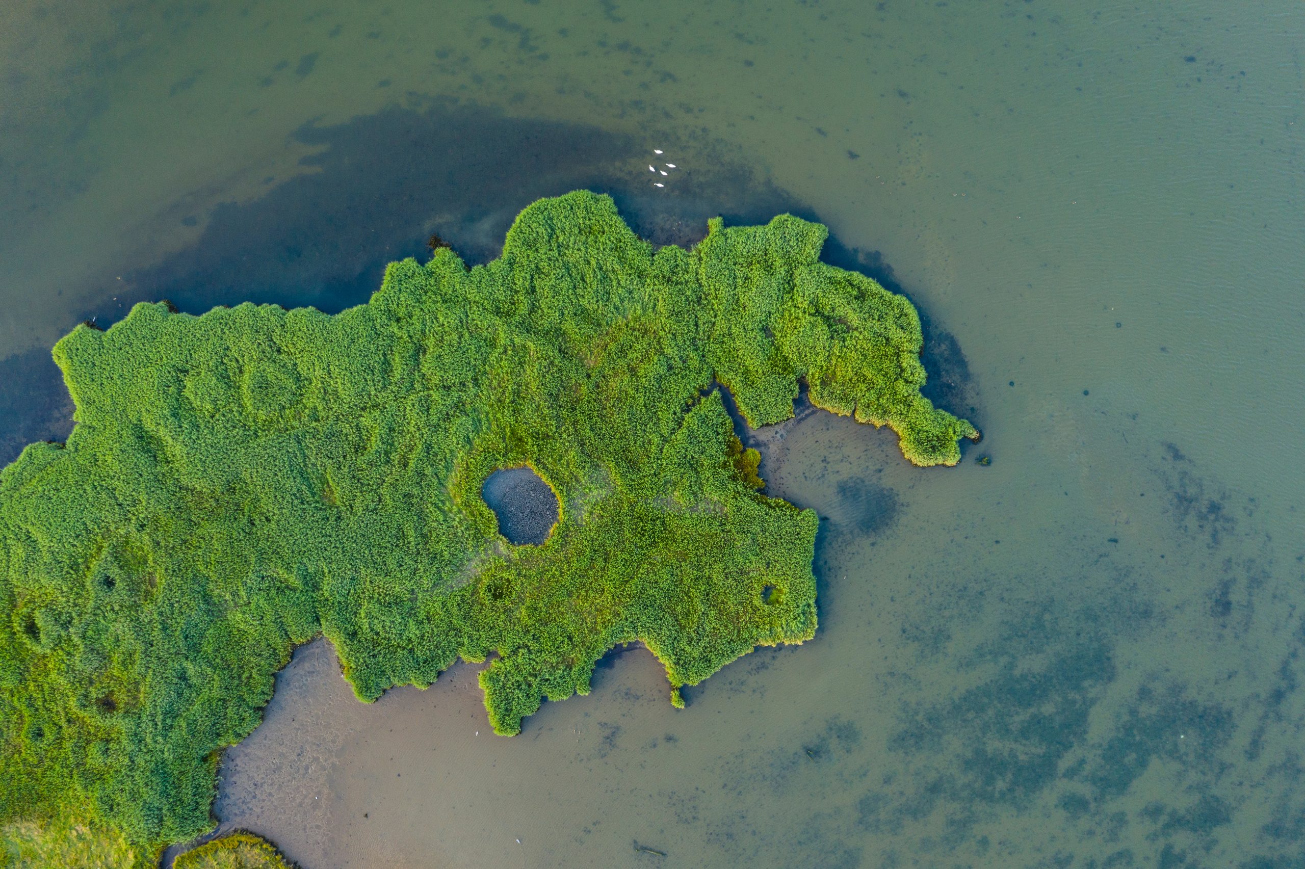 News – The IUCN Water Knowledge Platform