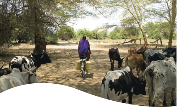 Pangani River Basin – The IUCN Water Knowledge Platform