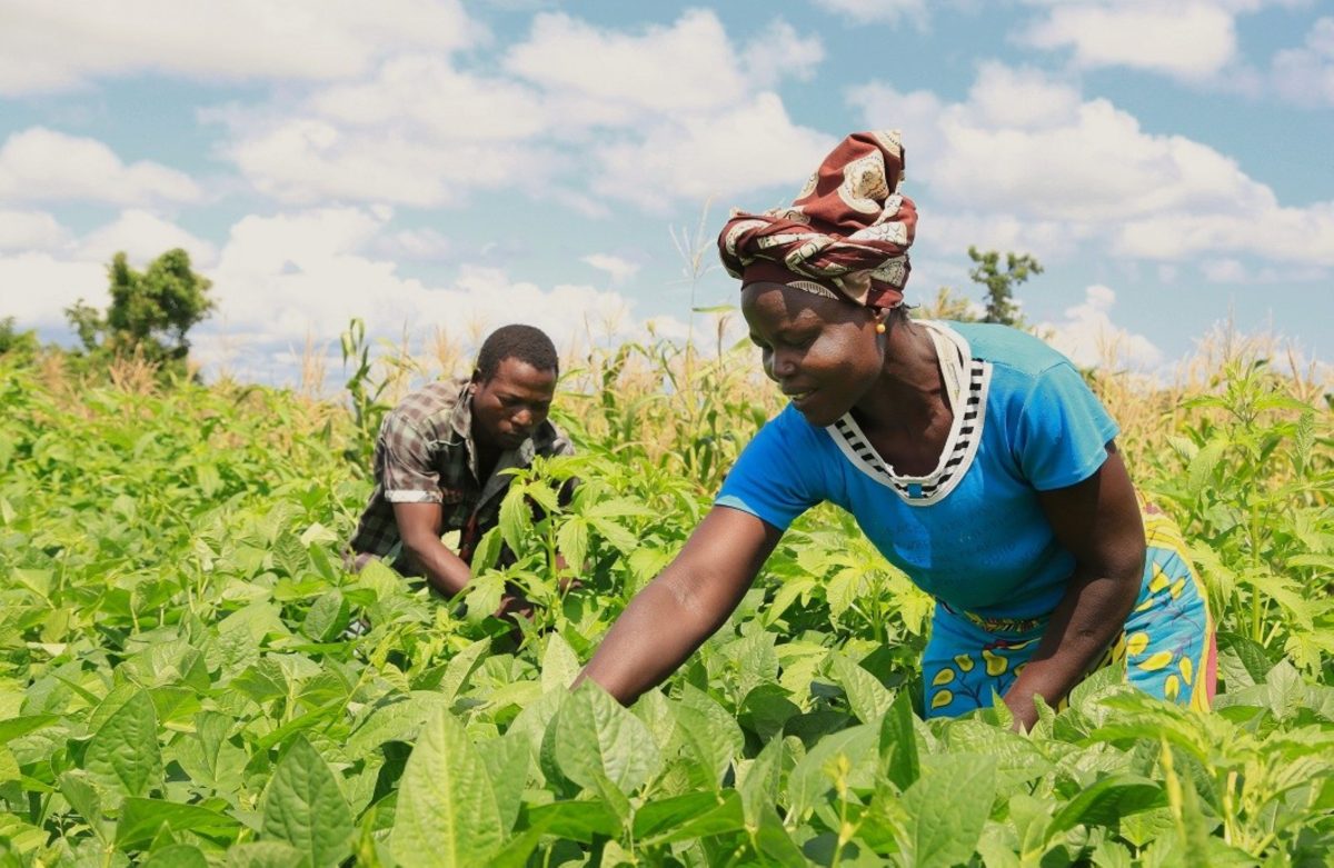 Landscapes in action – The IUCN Water Knowledge Platform